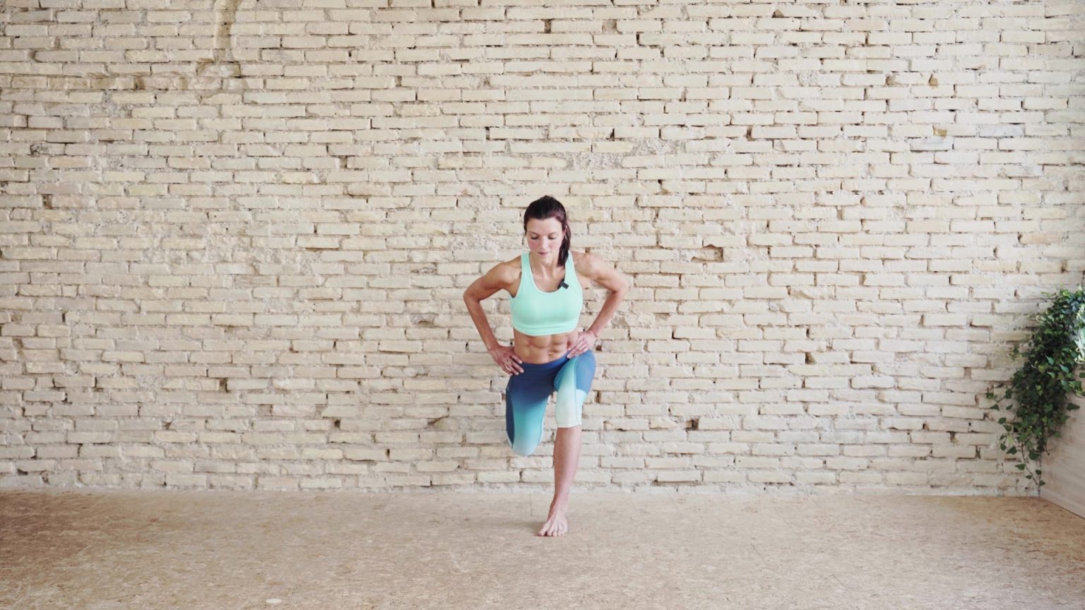 ESTABILIDAD ARTICULAR EN HANUMANASANA. O CÓMO HACER EL ESPAGAT SIN ...